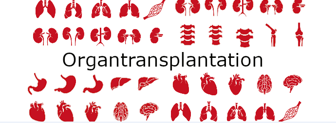 Ethik und Geschichte der Medizin | Organtransplantation